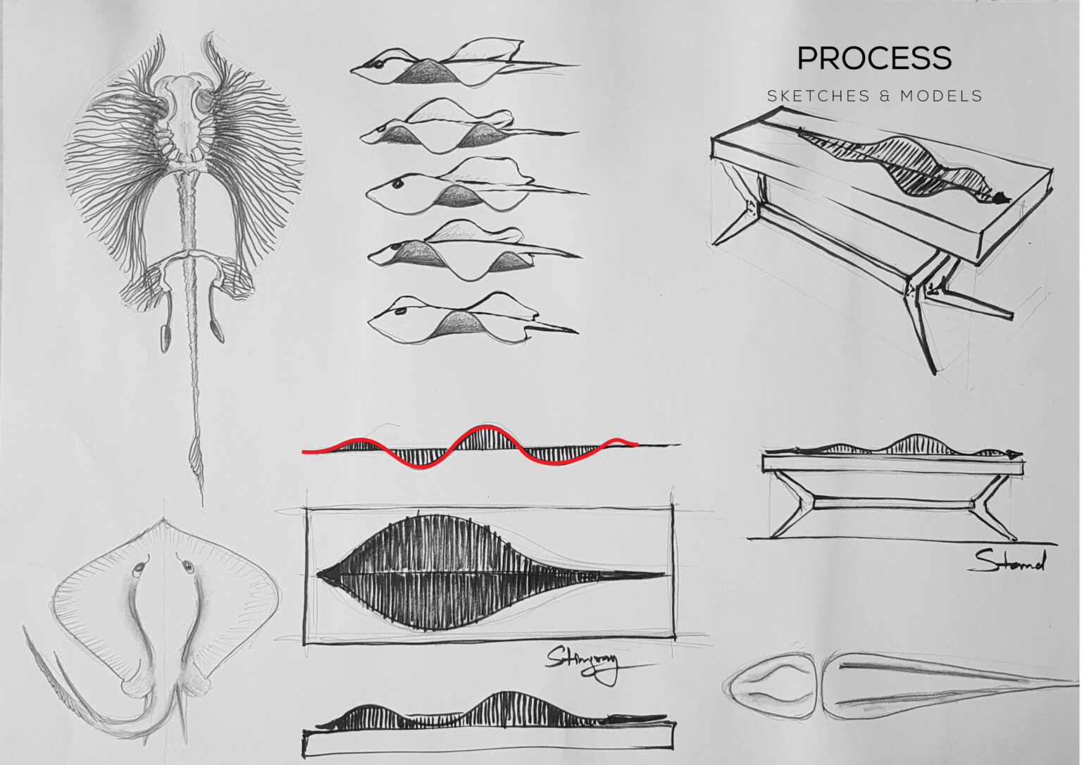 "UNLEASHING THE BEAUTY OF STINGRAY THROUGH KINETIC ART" - Top Art ...